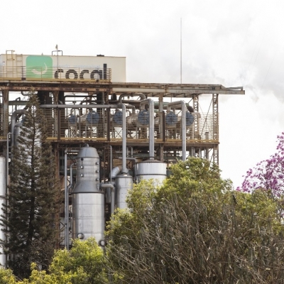 Cocal está com vagas abertas para o Programa Trainee 2025 | Cana Online