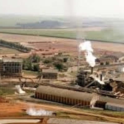 Fabio Venturelli, do grupo São Martinho: trajetória corrigida | Cana Online