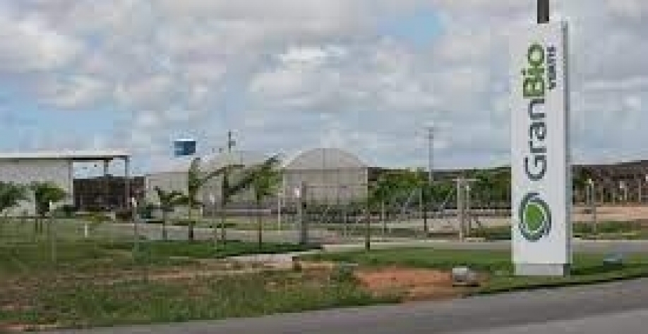 Granbio inicia aposta em bioquerosene de aviação | Cana Online