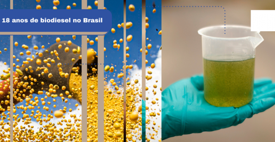 Biodiesel completa 18 anos e atinge a maioridade | Cana Online