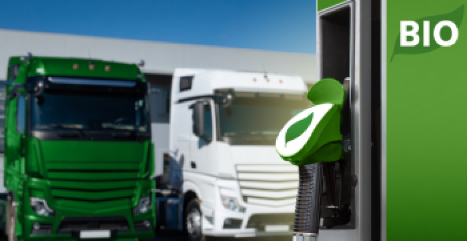 RenovaBio : usinas de biodiesel da Delta Energia têm aprovação para ...