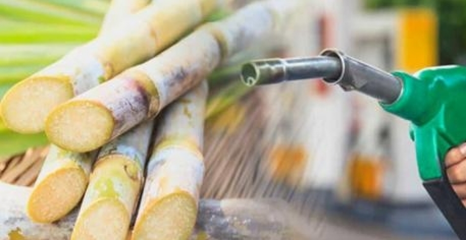 MME apresenta potencial brasileiro na produção de biocombustíveis para ...