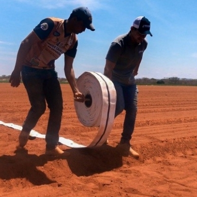 Estratégia de irrigação mais eficiente alia salvamento e deficitária ...