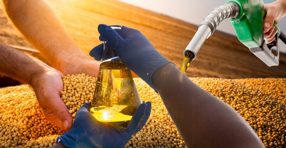 Ubrabio comemora avanço no mandato para o Biodiesel | Cana Online