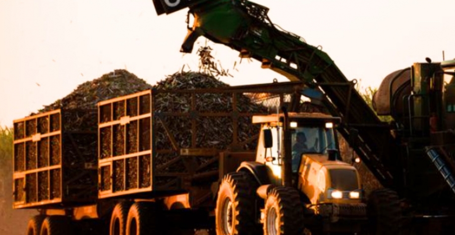 Raízen abre com Citibank US$ 120 milhões de crédito para exportação ...