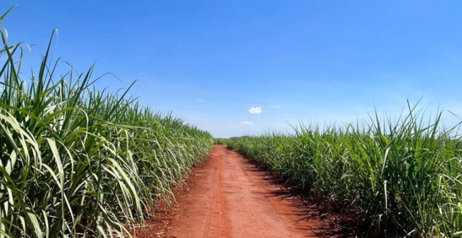 Associados da Canaoeste recebem Certificação Bonsucro | Cana Online