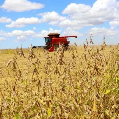 Quanto o Brasil lucra com a soja? | Cana Online