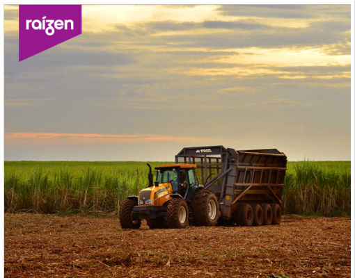 Ser verde dá retorno, diz Ricardo Mussa, presidente da Raízen | Cana Online