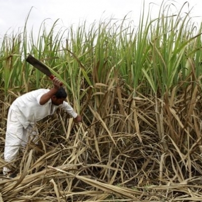 Árabes Investirão US$ 500 Milhões em Projeto da “Supercana”, Diz Eike ...